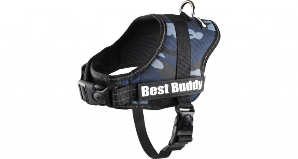 Beisli Pluto Blátt / Felulitir | Joserabúðin