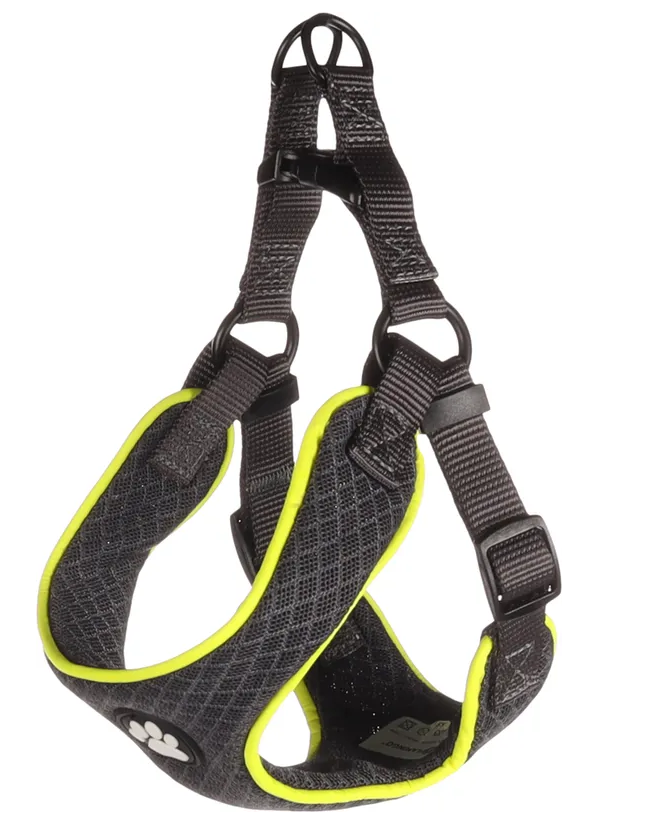 Beisli Tasha Grátt XS-L | Joserabúðin